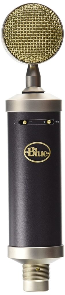 16 Best Recording Microphone For Vocals 2021 | Studio Microphone